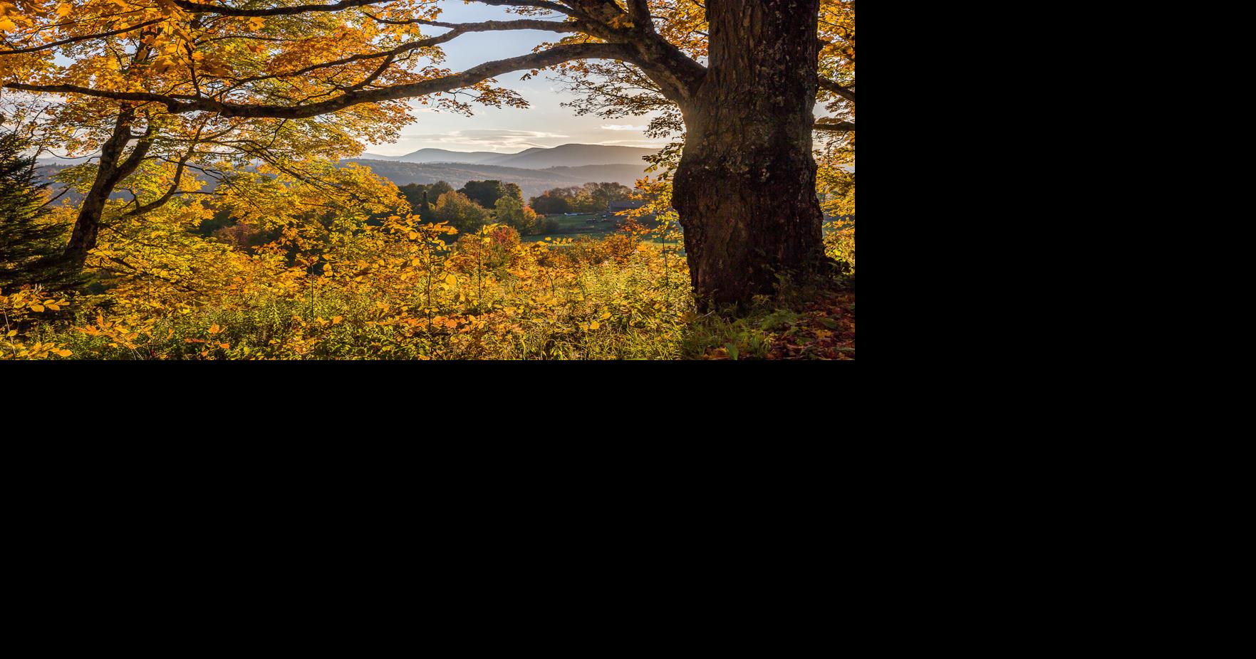 Wheelock, Vermont: Connection to Historic Dartmouth College | Northeast ...