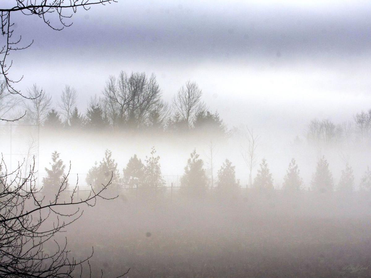 September fog | Columns from Northeast Kingdom of Vermont ...