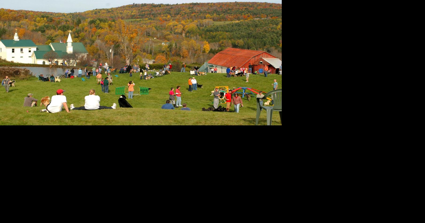 Catamount looks to bring free live music series to Dog Mountain ...