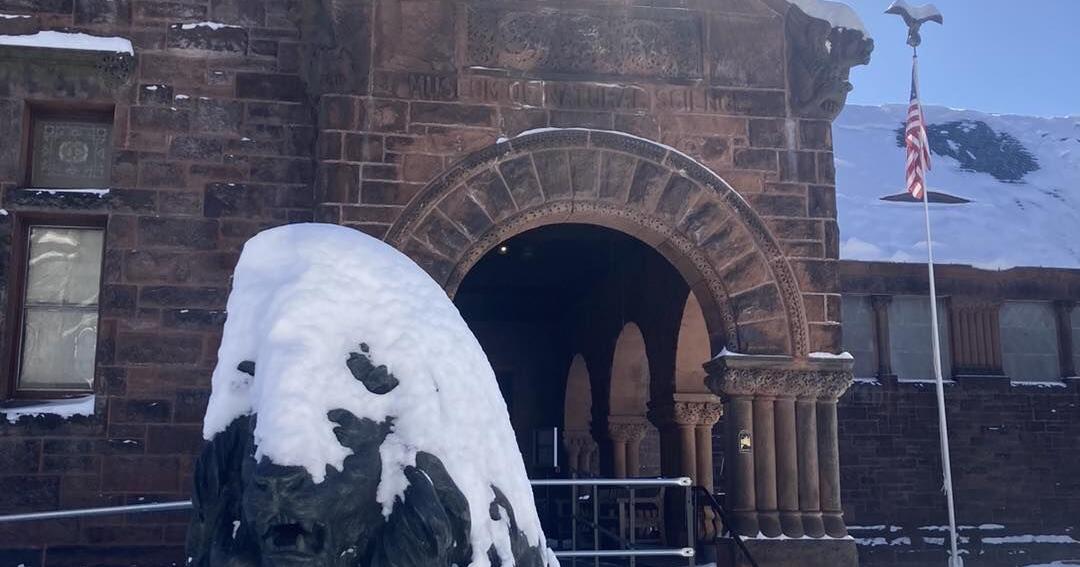 Lions, Lambs, and the Lore of March Weather | Columns from Northeast ...