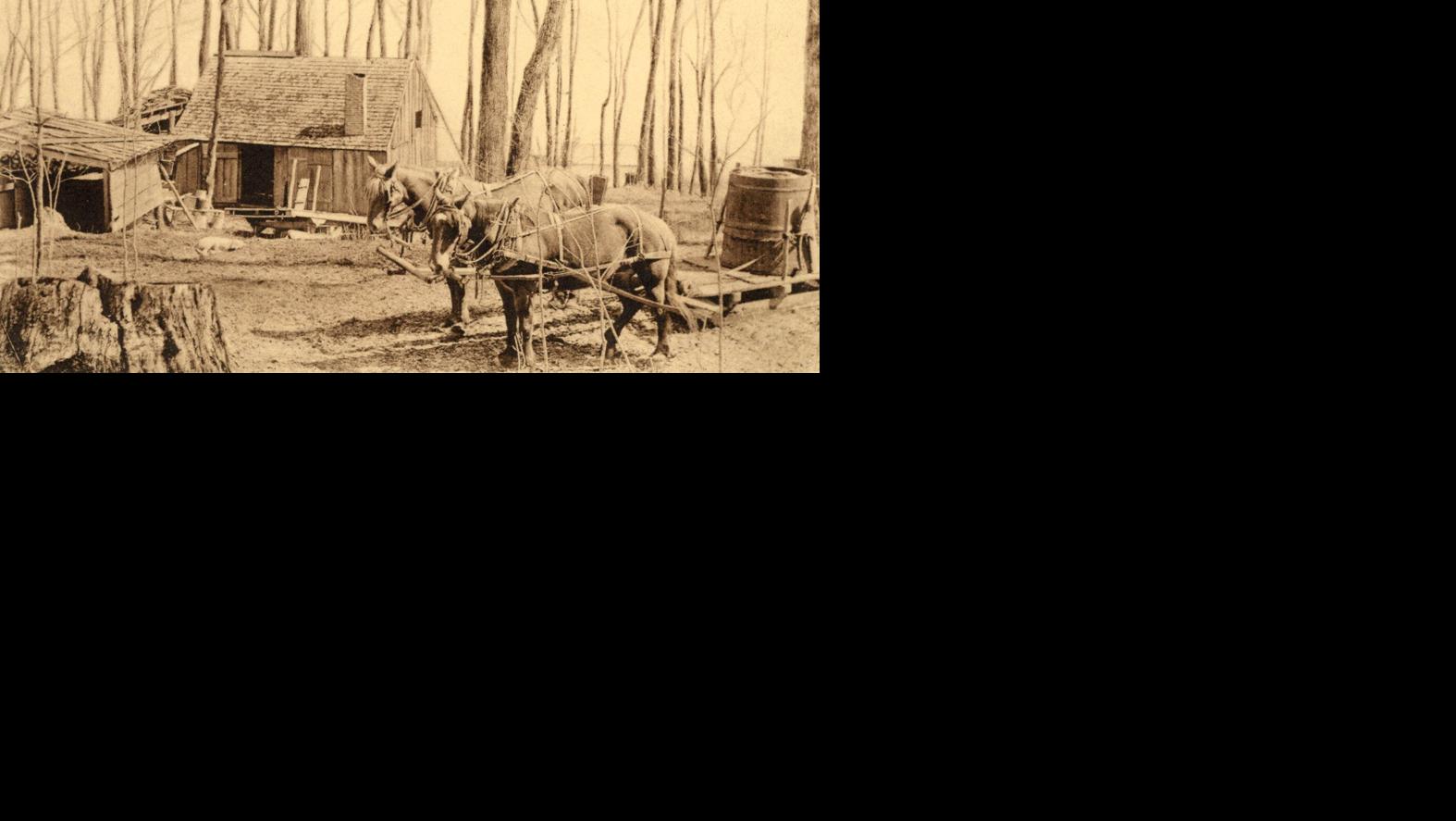 Before 'Vermont Maple' Meant Syrup | News, Features from the Northeast ...