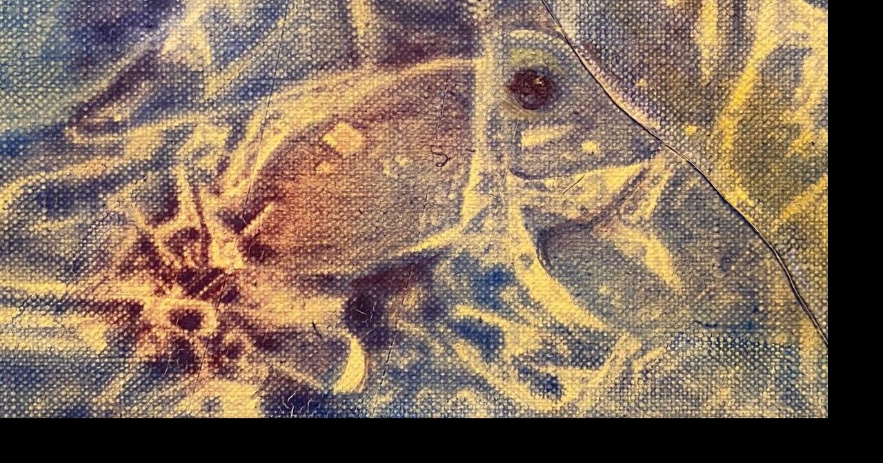 Slimes of Spring: the astounding world of amphibians | Columns from ...