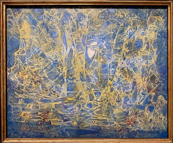 Slimes of Spring: the astounding world of amphibians | Columns from ...