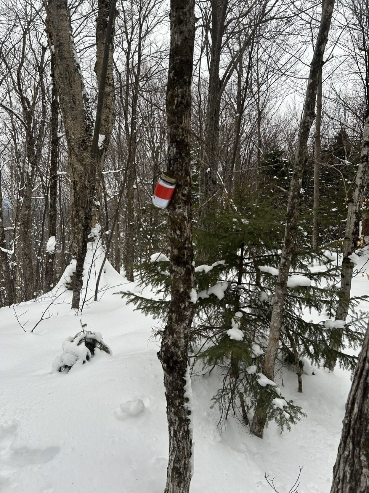 Celebrating winter's longest night atop Bald Mountain | News, Features ...