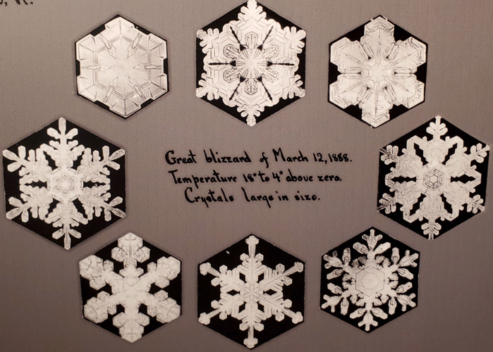 When Vermont’s Wilson Bentley Named the ‘Blizzard’ | Columns from ...