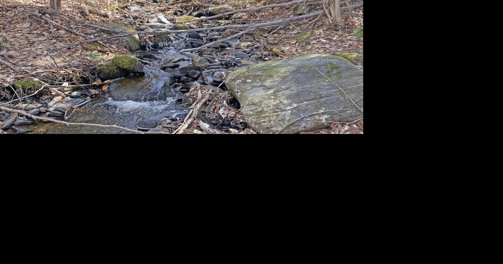 Caledonia County forestland conserved for wildlife connectivity and ...