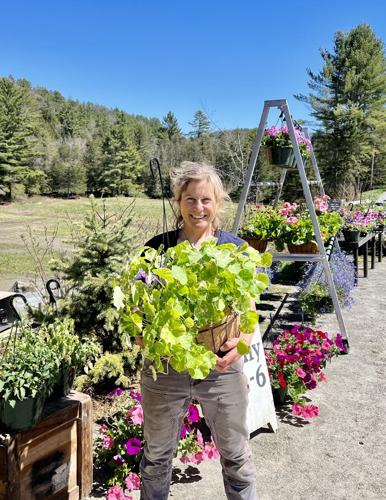The Caledonia Farmers’ Market: A Local Institution | News, Features ...