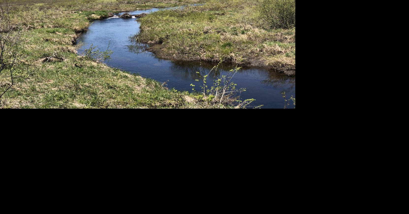 Victory Basin and the Bog Pond Trail | Columns from Northeast Kingdom ...