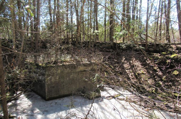 Henry O’Malley: St. Johnsbury’s Fish Hatchery Legacy | News, Features ...