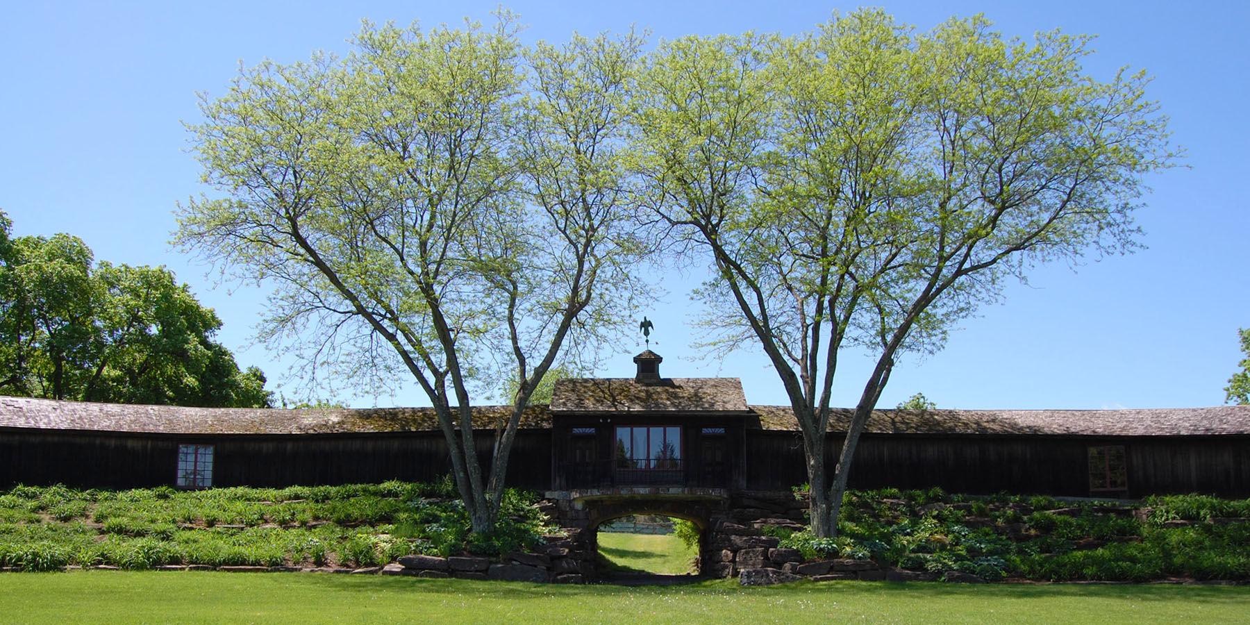 Local circus parades inspired Roy Arnold's miniature masterpiece | News ...