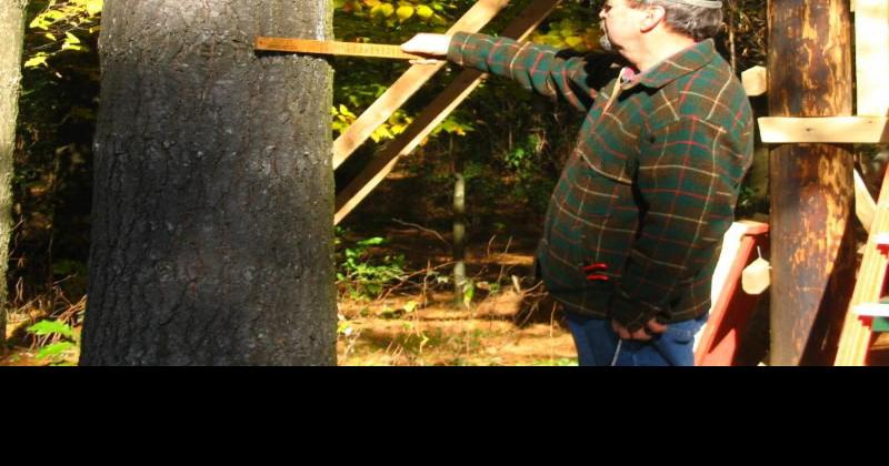 Allen Yale to Receive 7th Annual George Buzzell Forest Stewardship ...