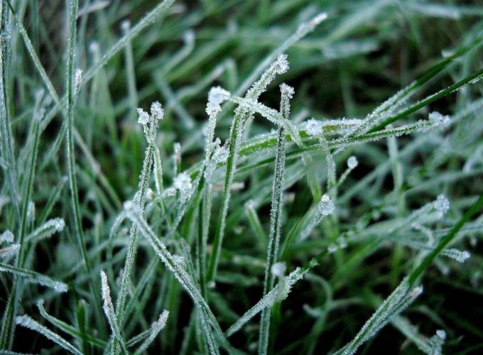 Welcome back, Jack Frost | Columns from Northeast Kingdom of Vermont ...