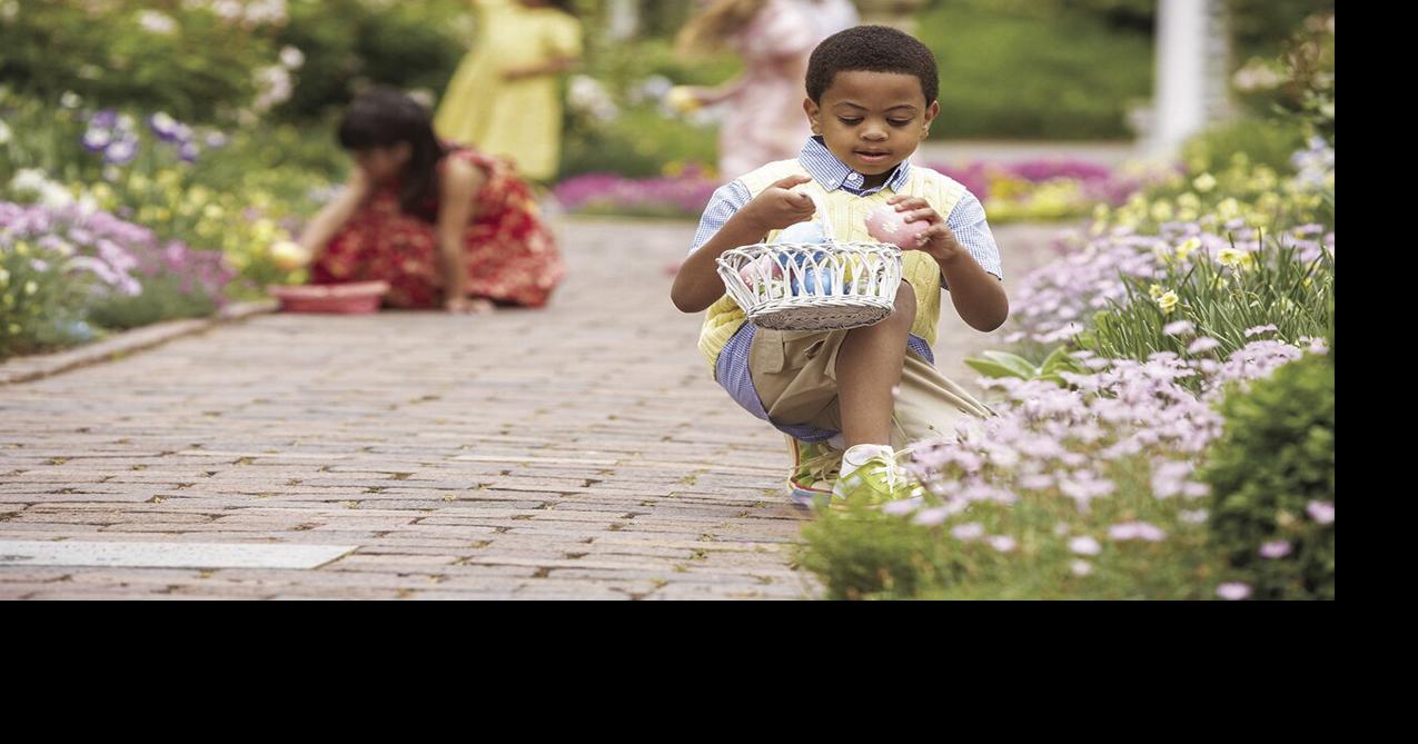 Hop on these tips for a great Easter egg hunt | | northwestgeorgianews.com