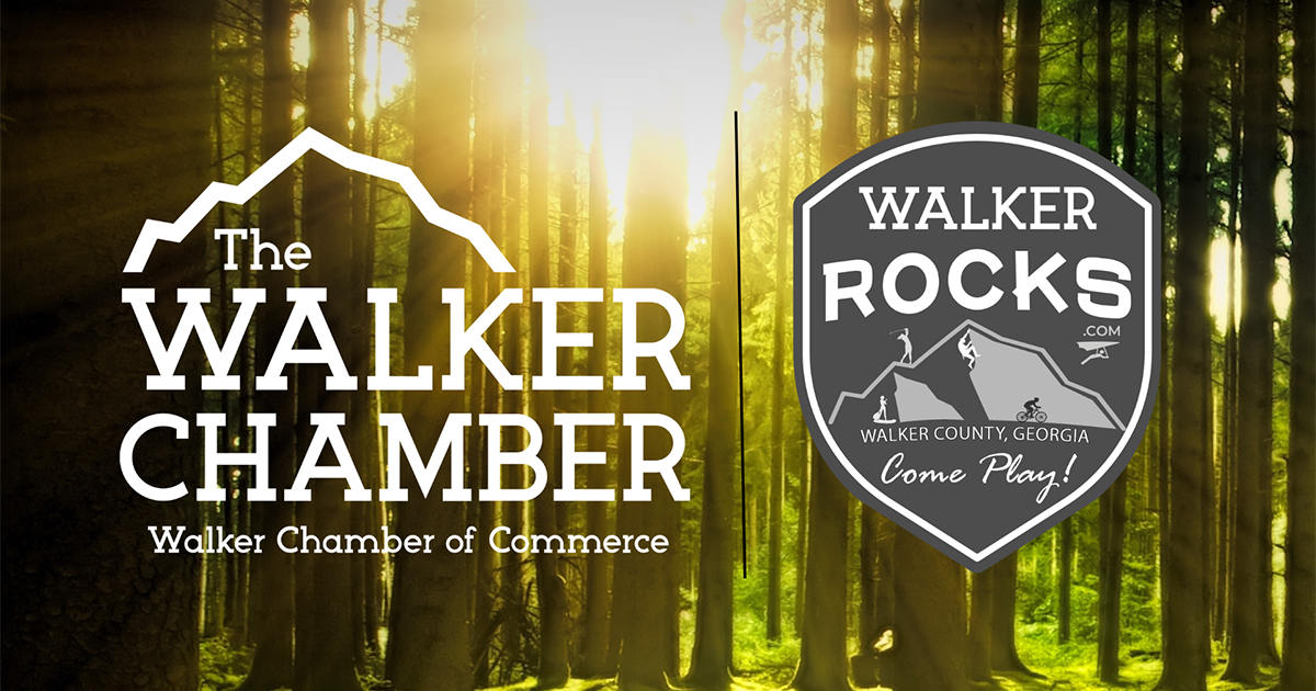 Walker Chamber of Commerce Embraces 2025 Momentum | News ...