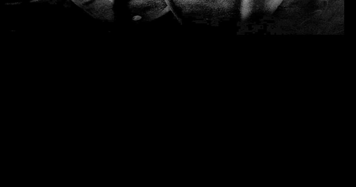 Henry W. Grady: From northwest Georgia to the Voice of the New South ...