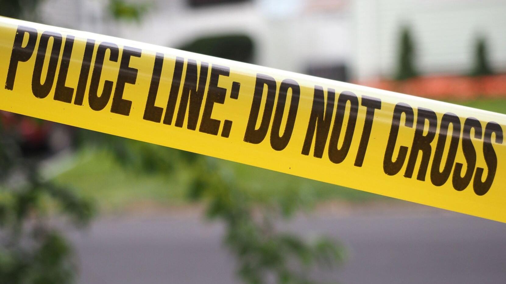 Local News | northwestgeorgianews.com