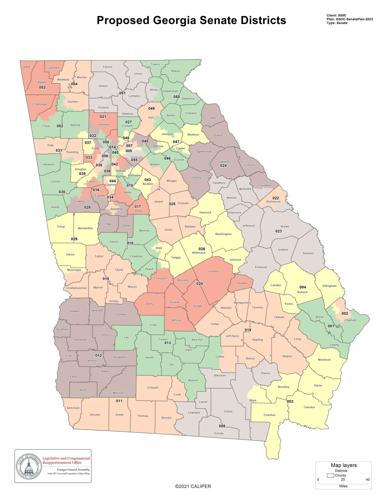 Georgia House, Senate Adopt New District Maps | News ...