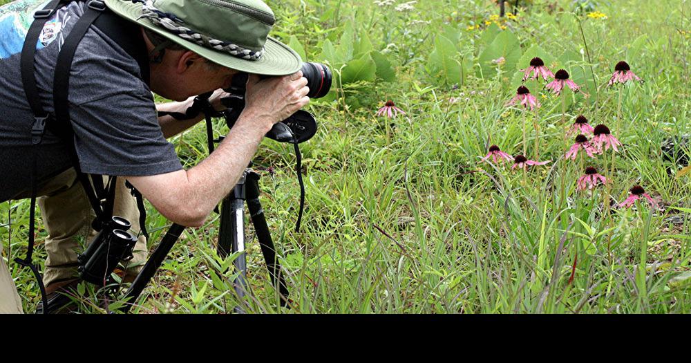 Coosa Valley Prairies offer glimpses of rare flowers, plants | Local ...
