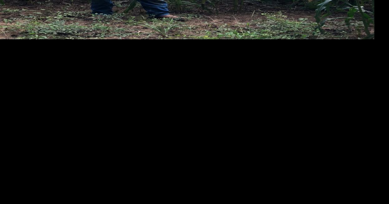 Reynolds Farms: Farming with a mission | The Calhoun Times ...