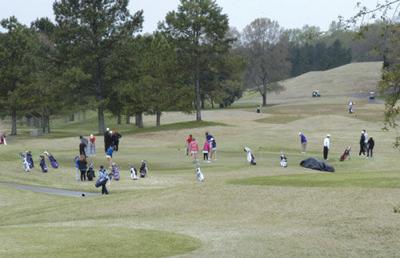 Golf: NWGAJR Golf, Club Y to host tourney at Fields Ferry | Local ...