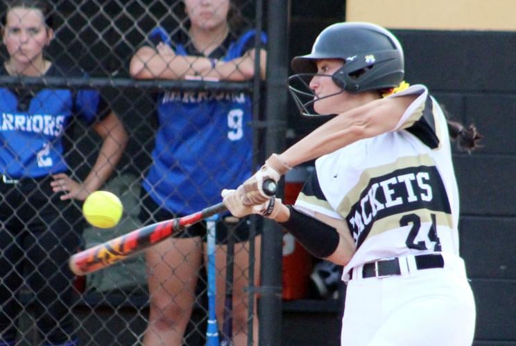 SOFTBALL: Seniors setting the tone for an undefeated Rockmart squad ...