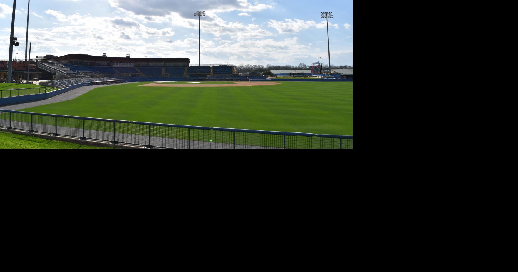 Rome Braves announce opening day roster | | northwestgeorgianews.com