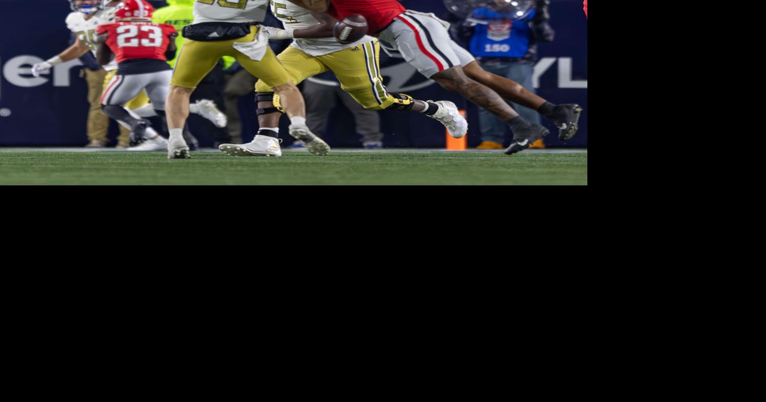 Georgia's Marvin Jones Jr. | | northwestgeorgianews.com