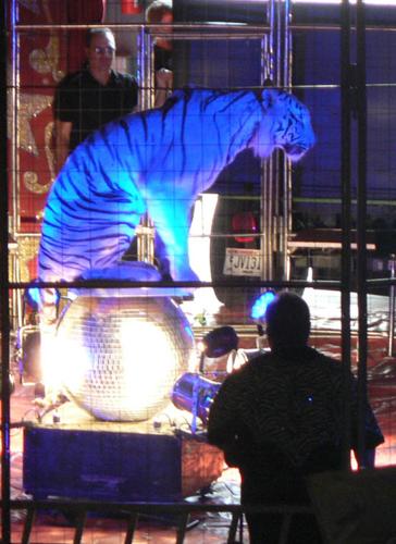 Loomis Bros. Circus | Gallery | northwestgeorgianews.com