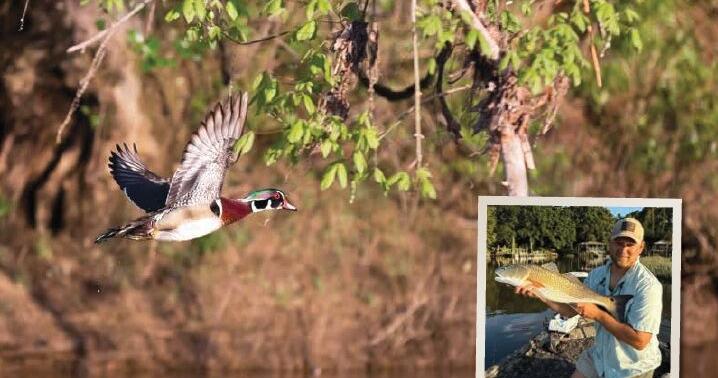 Georgia DNR releases 2025-26 hunting and fishing regulations | Gordon ...
