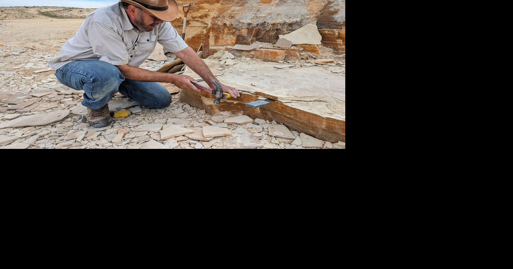 Minerals and fossil collectors share their stories at the Rome Floyd ...