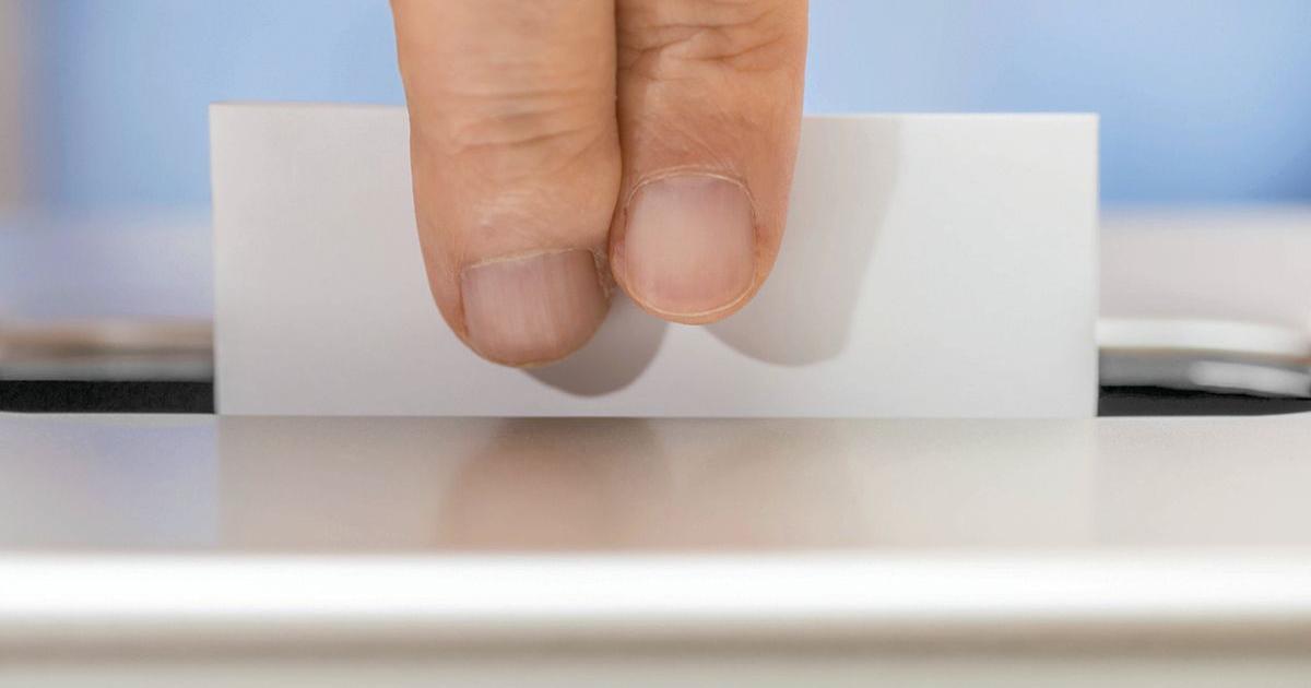 How to cast your ballot | Elections | northwestgeorgianews.com