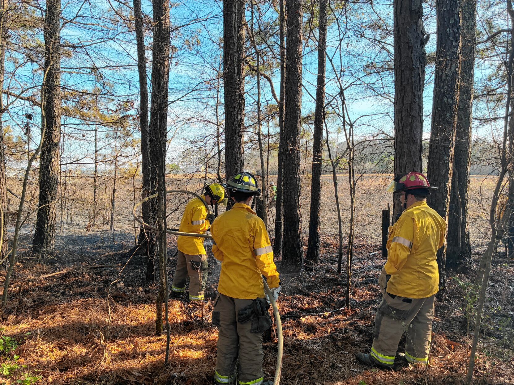 Brush fire scorches several acres near airport in Armuchee | Local News ...