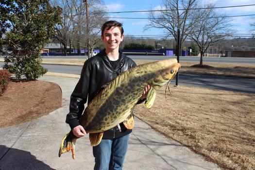 Students rally at Darlington’s annual Rumpus | Local News ...