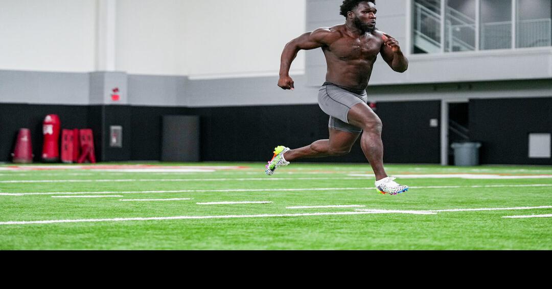 Steelers sign Georgia RB Daijun Edwards | The Calhoun Times ...