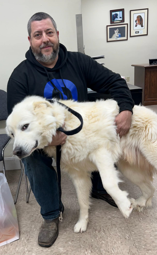 Catoosa Animal Control: Meet the Animals Via Video | Lifestyles ...