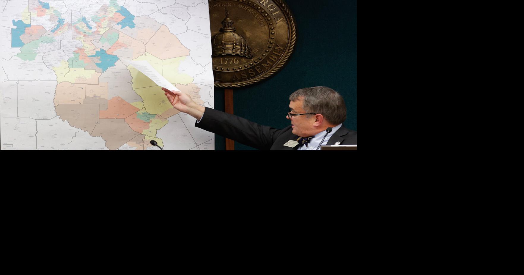 Redistricting claims two Georgia House Democrats | Politics | northwestgeorgianews.com