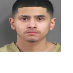 GCSO: Six Arrested After Friday Shots Fired Call | Local ...