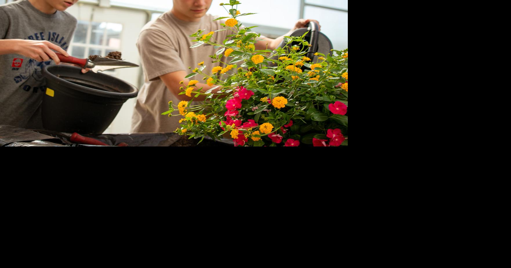 Calhoun City Schools CTAE nurtures careers in agriculture | Education ...