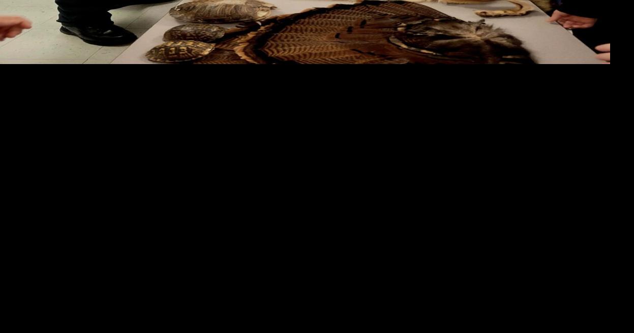 You can be anything you want to be: Armuchee Elementary students get a ...