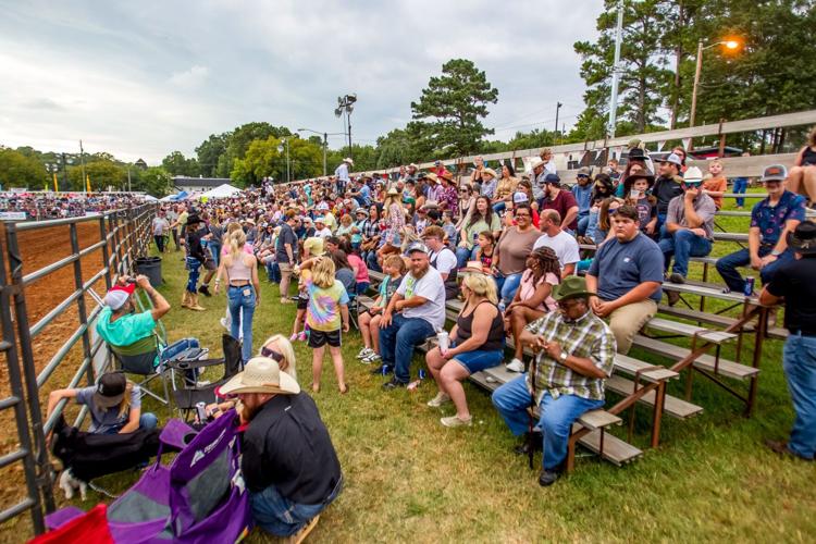 ‘It’s the ropes and the reins...’ | Lifestyles | northwestgeorgianews.com