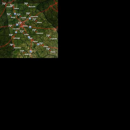 Ware Mechanical Weather. Your Week-Ahead Forecast -- Mostly Sunny ...