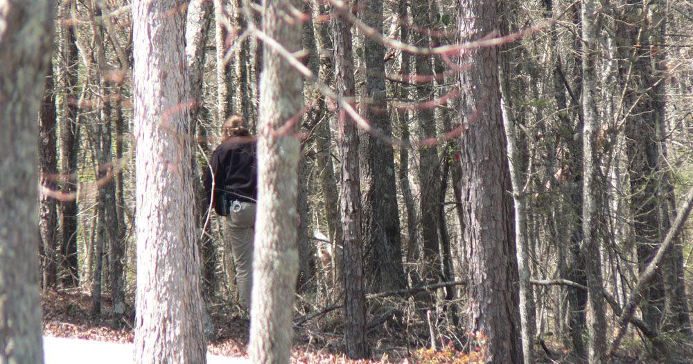 Floyd police say "strong possibility" remains are those of Ashley ...