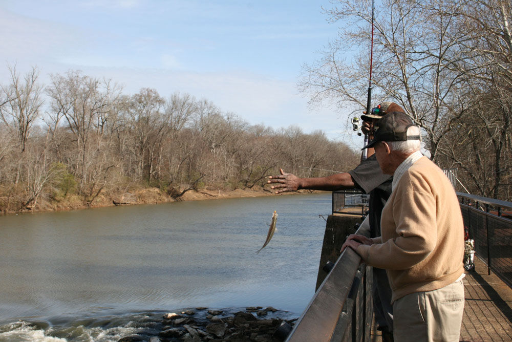 Fishing at Lock & Dam Park | Gallery | northwestgeorgianews.com
