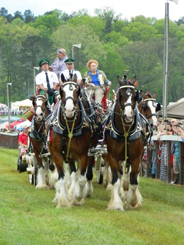 50th Atlanta Steeplechase | Gallery | northwestgeorgianews.com