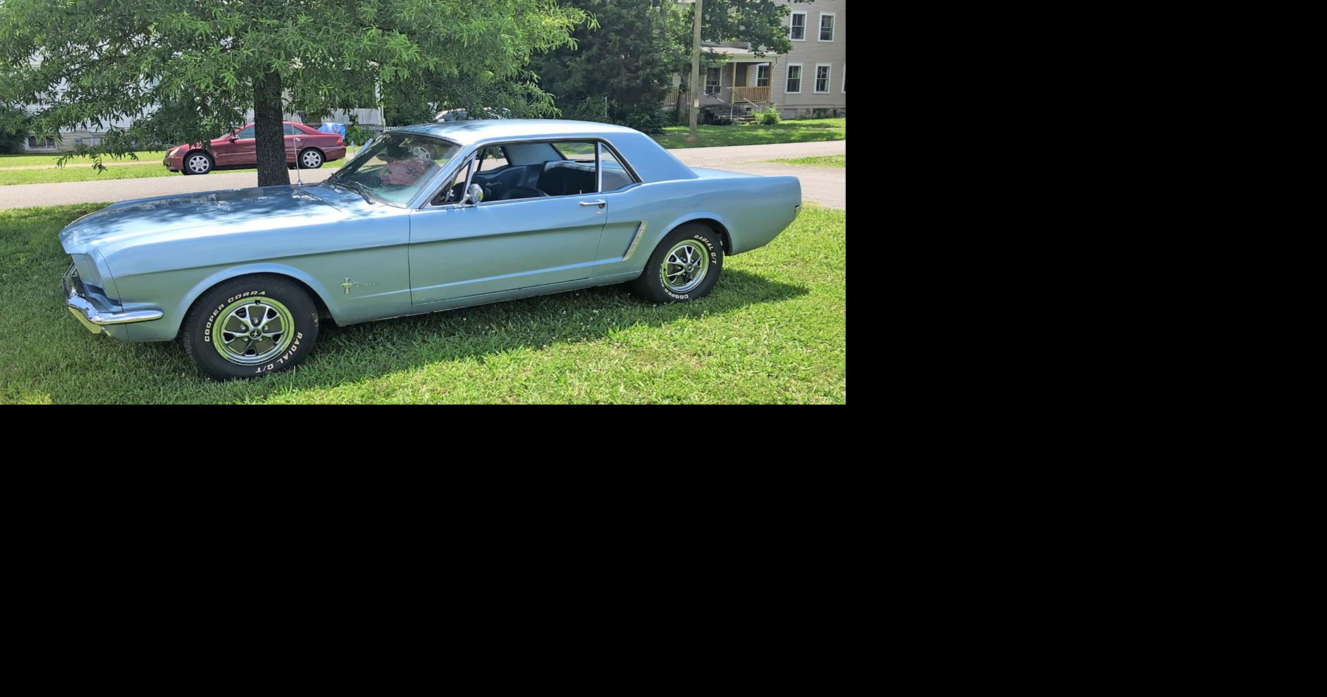 Mustangs, not horses, visit 6th Cavalry Museum in Fort Oglethorpe ...