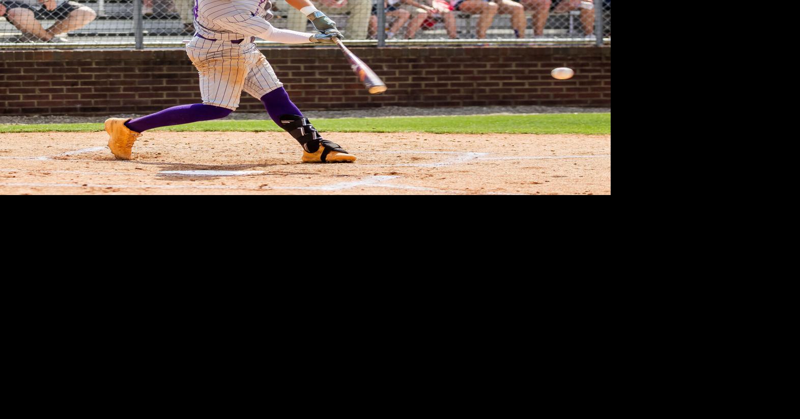 Darlington's Talan Shirey file | | northwestgeorgianews.com