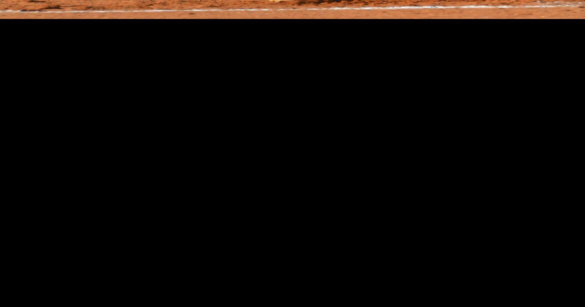 Lady Phoenix drop region championship in third game | The Calhoun Times ...