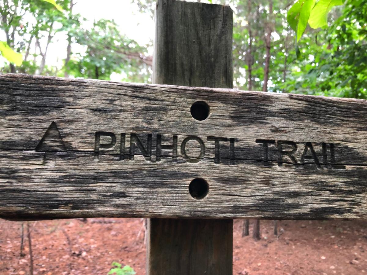 Cave Spring planning celebration for 25th anniversary of the Pinhoti ...