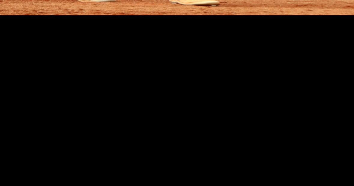 SOFTBALL: Lady Dawgs start region with sweep | Sports ...