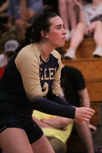 Lady Eagles soar in Chattanooga | | northwestgeorgianews.com